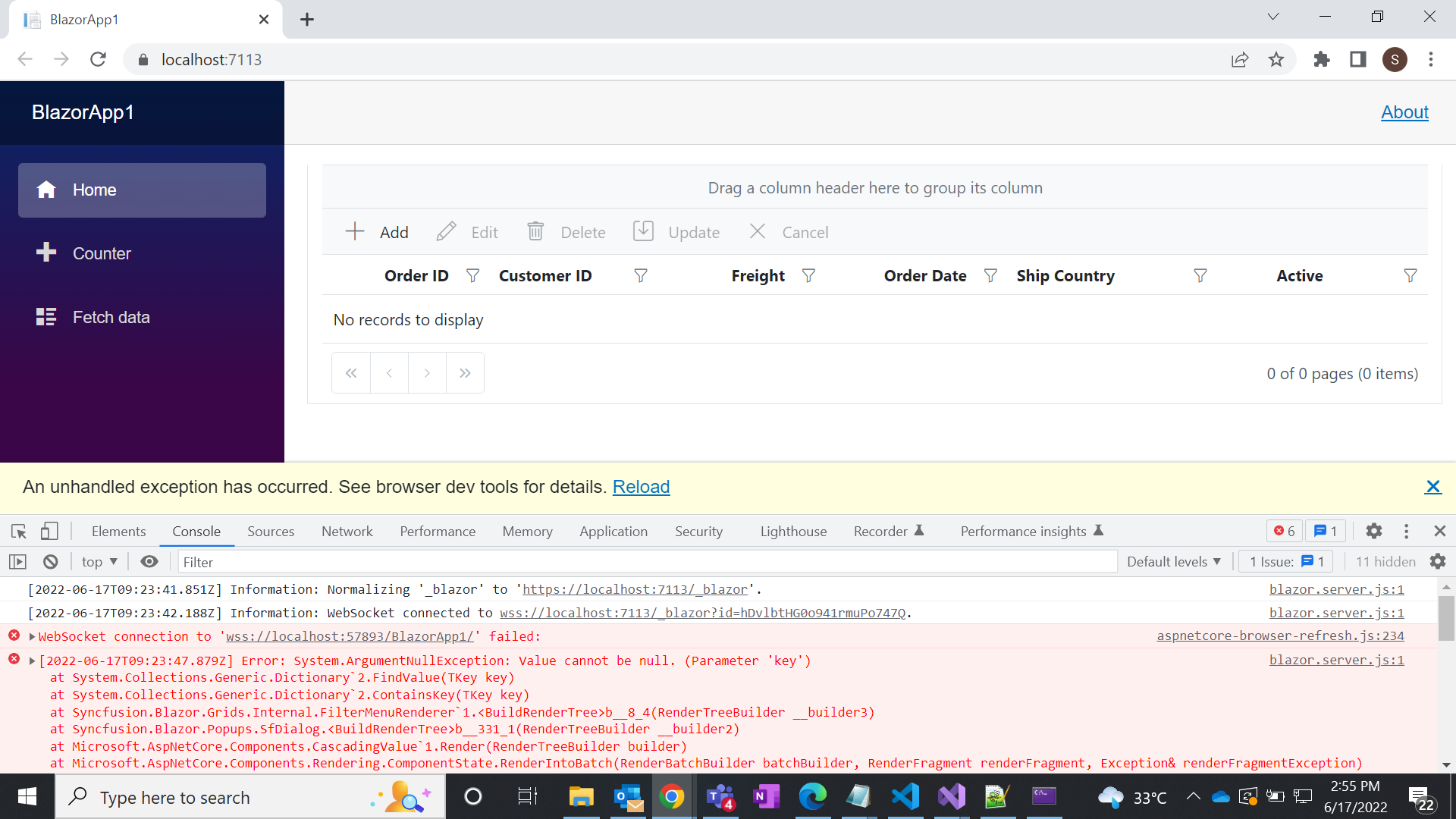 Exception On Filtering Empty Expandoobject Records In Blazor Feedback Portal 