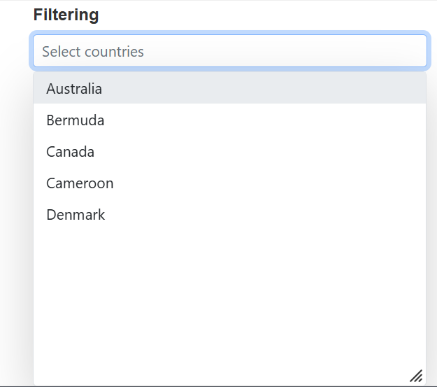 When using allowResize, the extra space appears in the popup in JavaScript | Feedback Portal